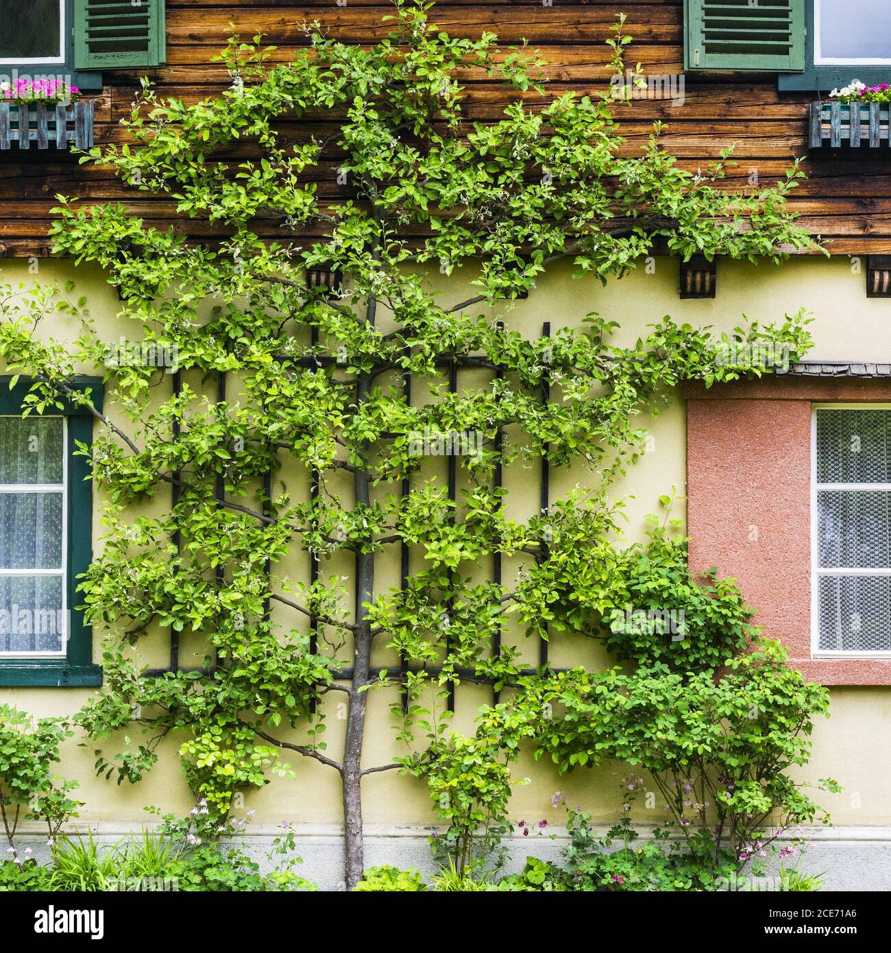 Maison traditionnelle autrichienne Banque de photographies et d’images ...