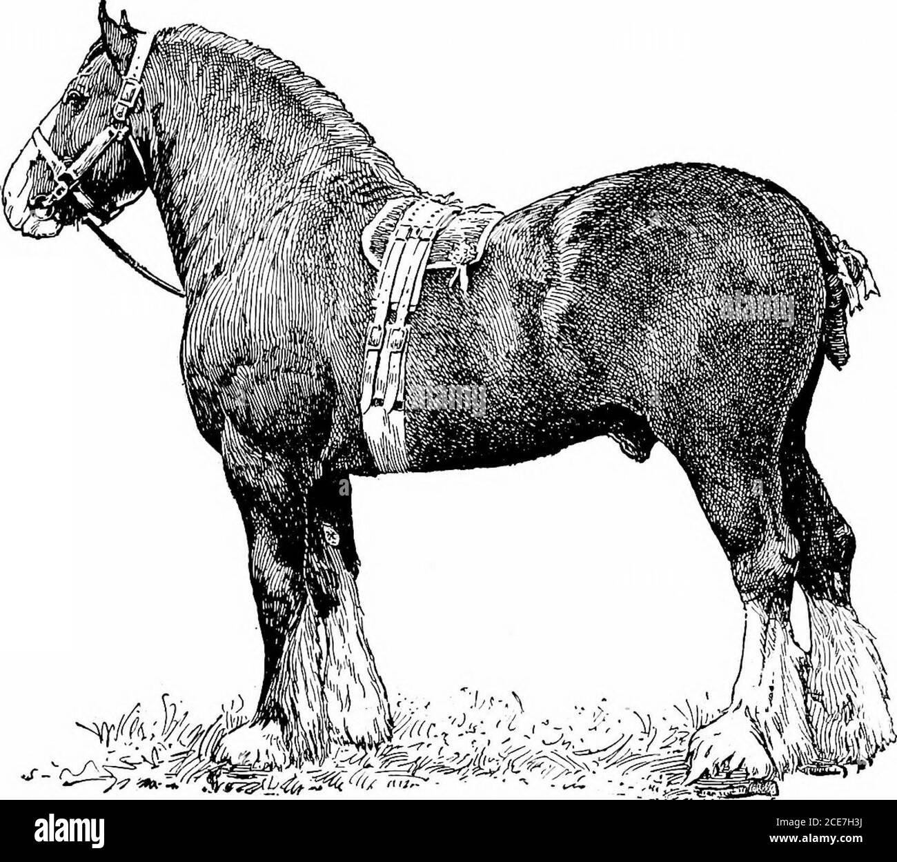 . Agriculture productive . Caurizy oj Ealc Pub Fig. Code 53. — UNE ...