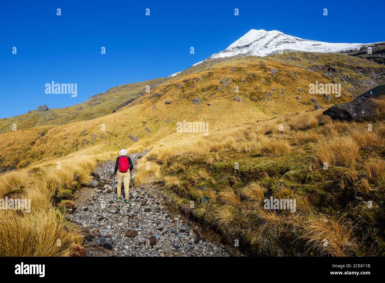 Stratovolcan mont taranaki ou mont egmont Banque de photographies et d ...