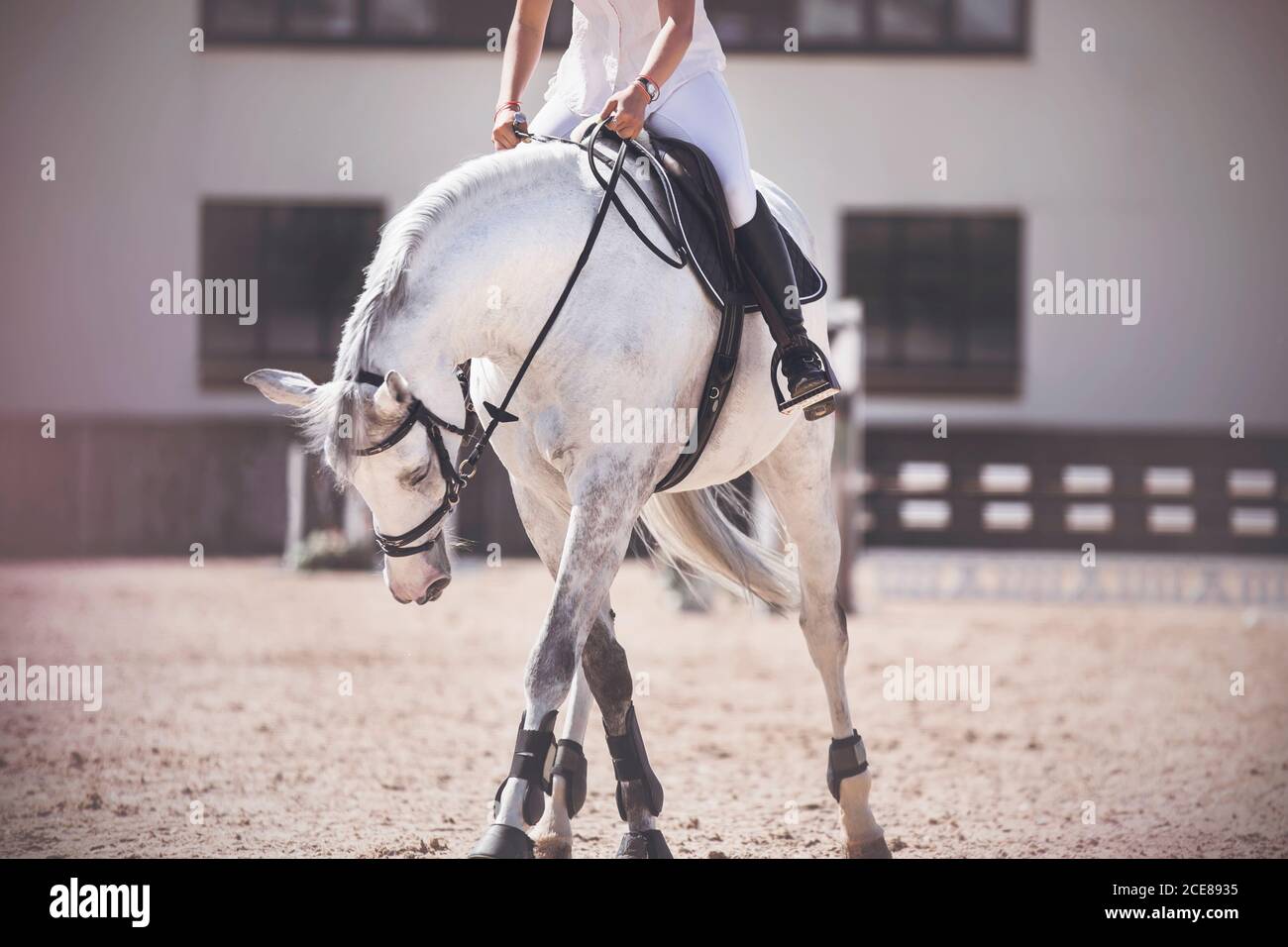 Jambes arquées Banque de photographies et d’images à haute résolution ...