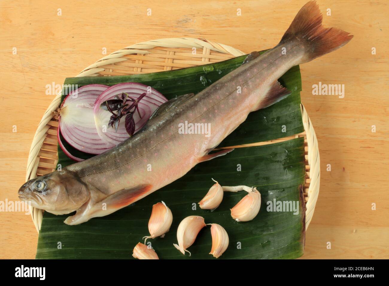 Poisson omble chevalier Banque de photographies et d’images à haute ...