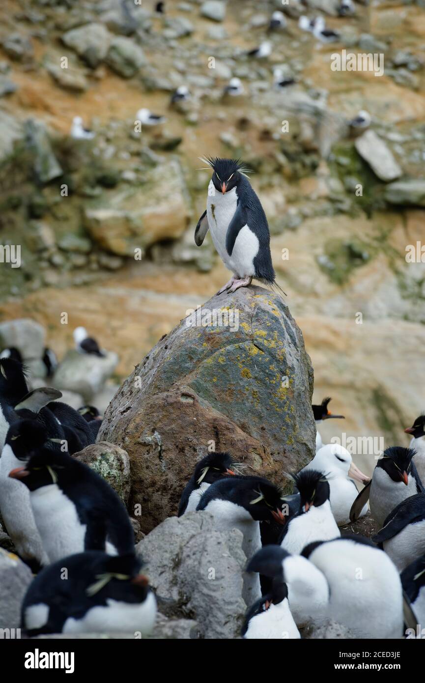 Territoire d'outre mer britannique Banque de photographies et d’images à haute résolution - Alamy