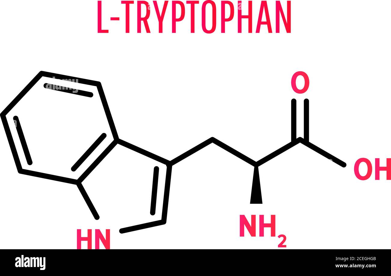 Formule et structure du squelette du tryptophane. Illustration ...