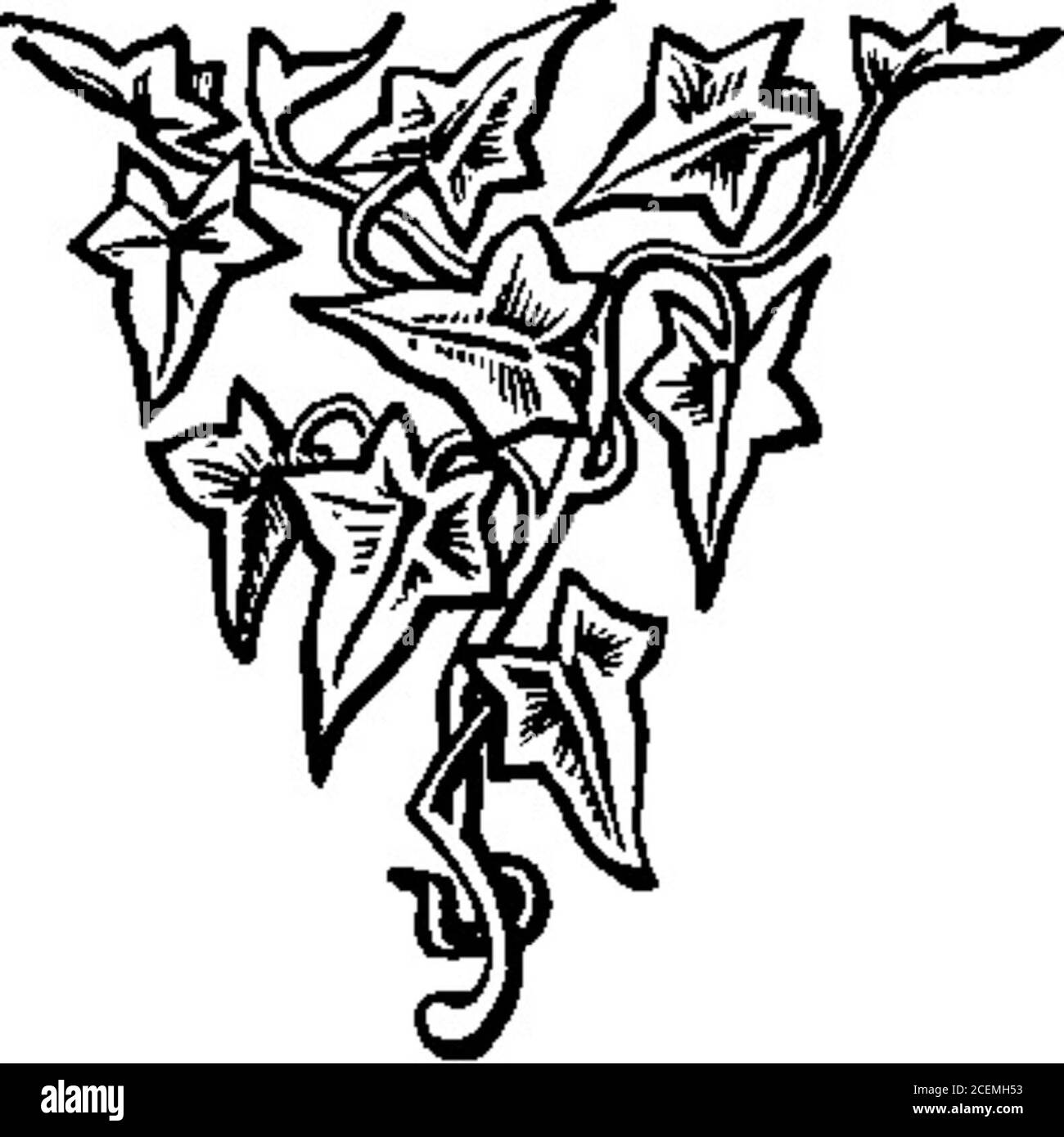 . Barbara Philpot (Volume 3): Une étude des mœurs et des mœurs (1727 à ...