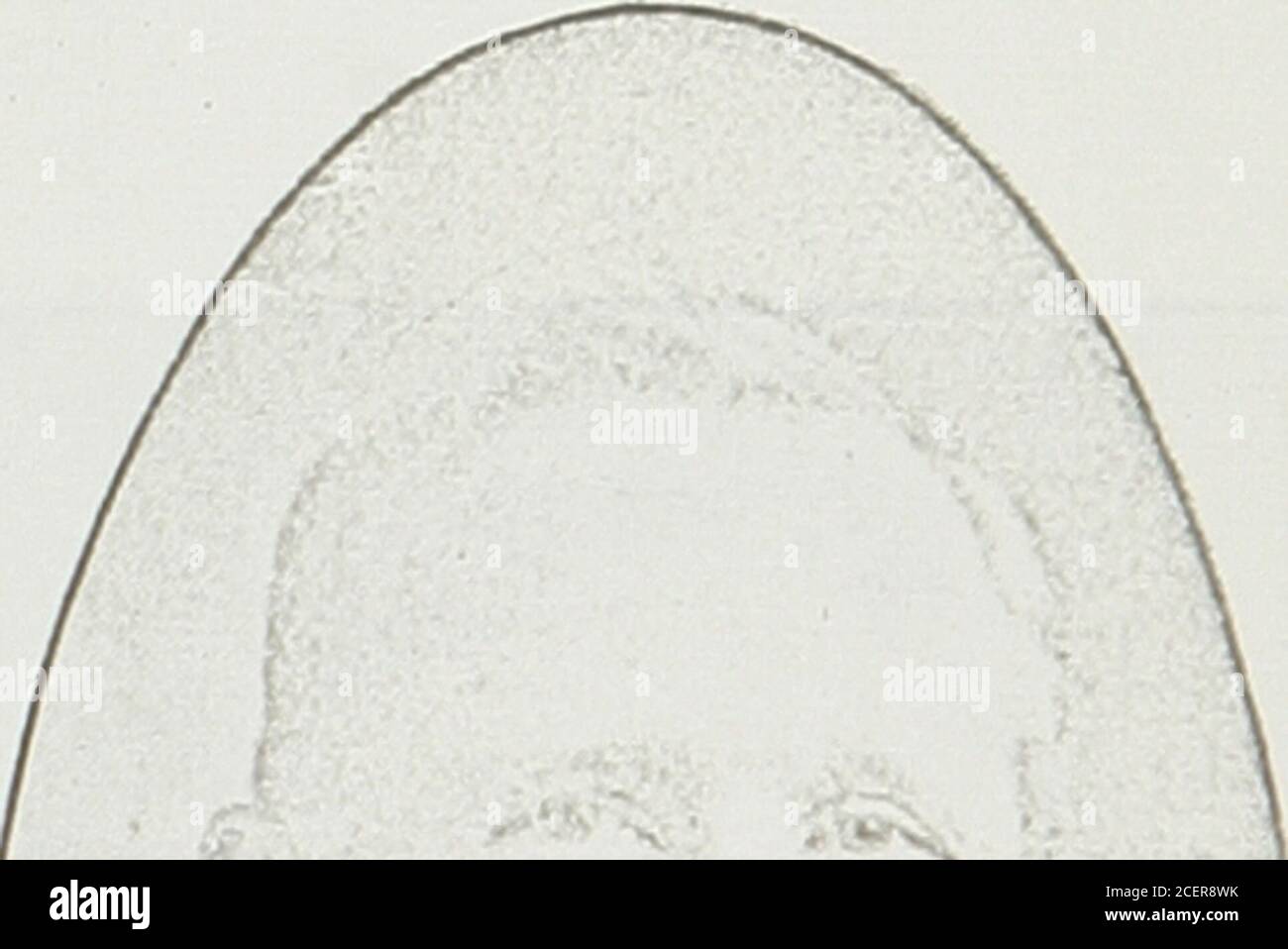 Edward hickman Banque de photographies et d’images à haute résolution ...