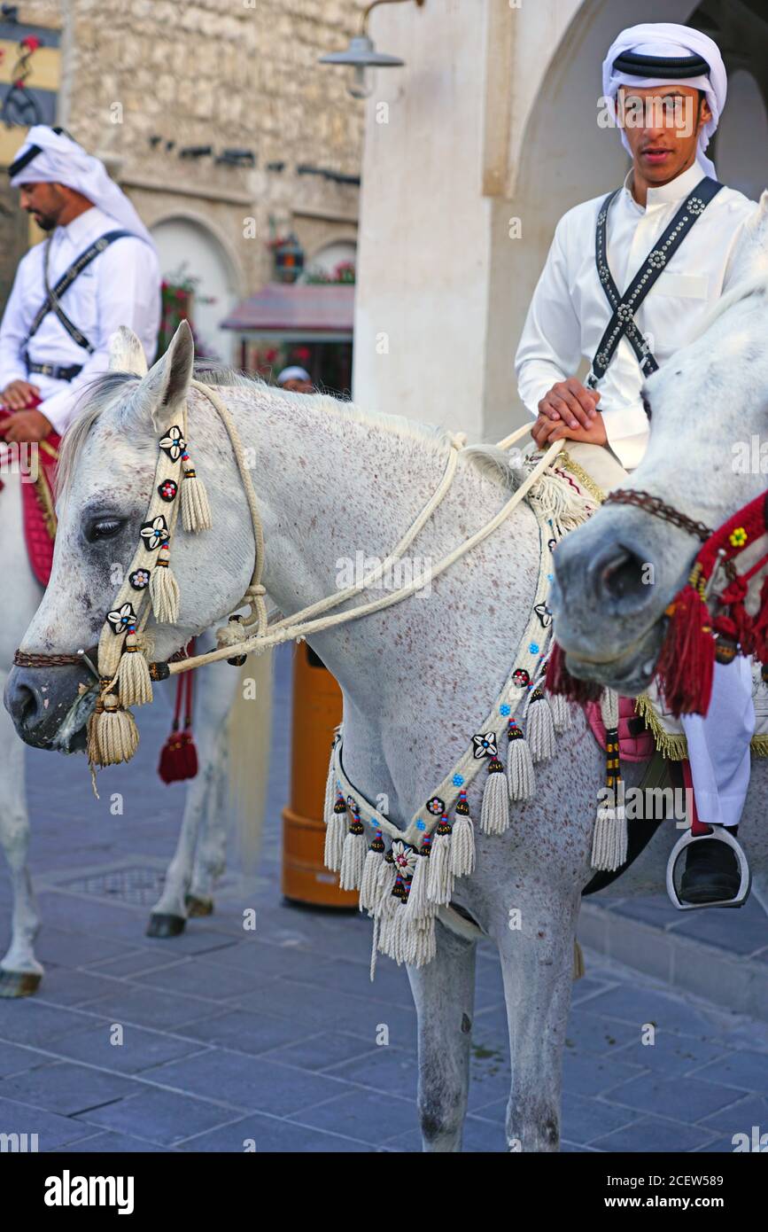 DOHA, QATAR - 12 DEC 2019- Vue du Canada sur les chevaux du Qatar sur ...