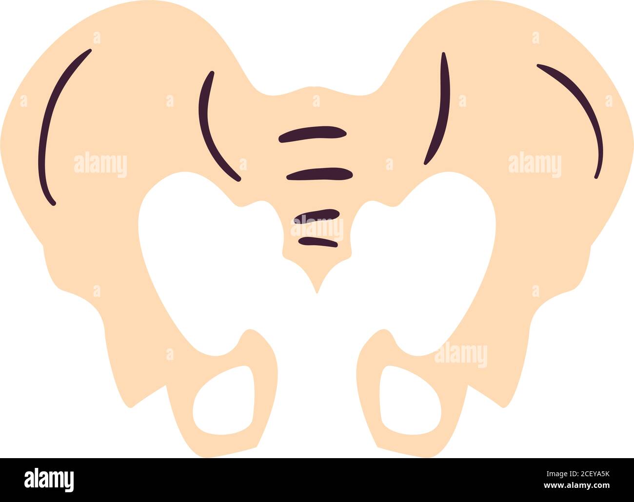 Pelvis forme libre style Icon design, humain corps personne personnes ...