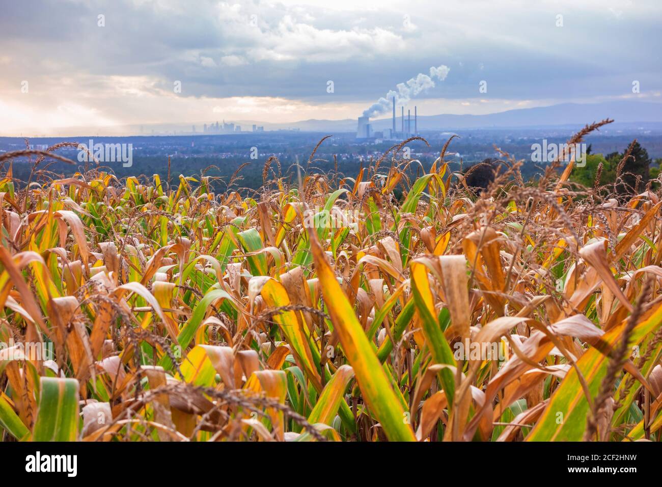 Pollution Agricole Banque d'image et photos - Alamy