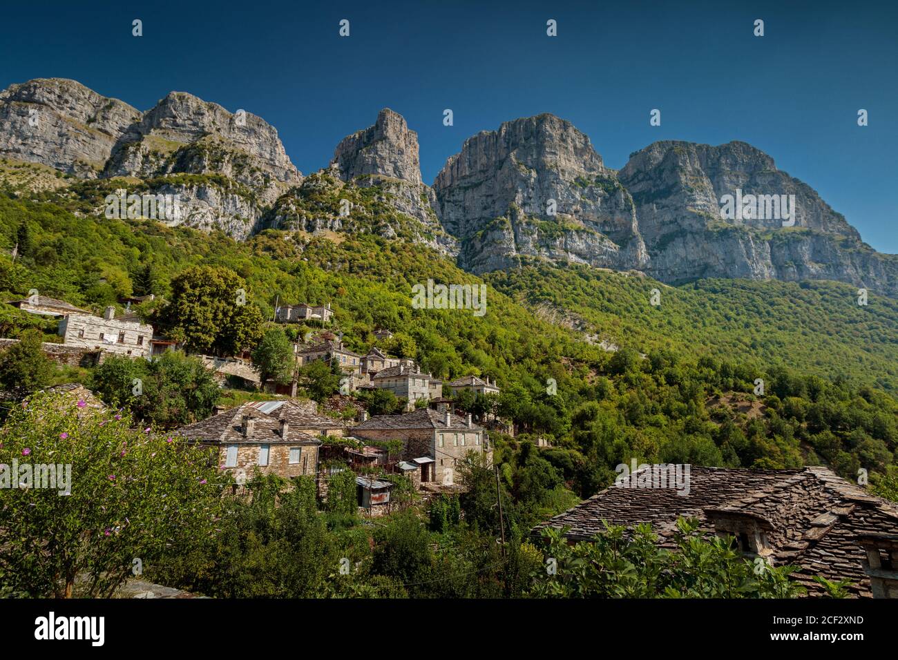 Mikro papigo Banque de photographies et d’images à haute résolution - Alamy