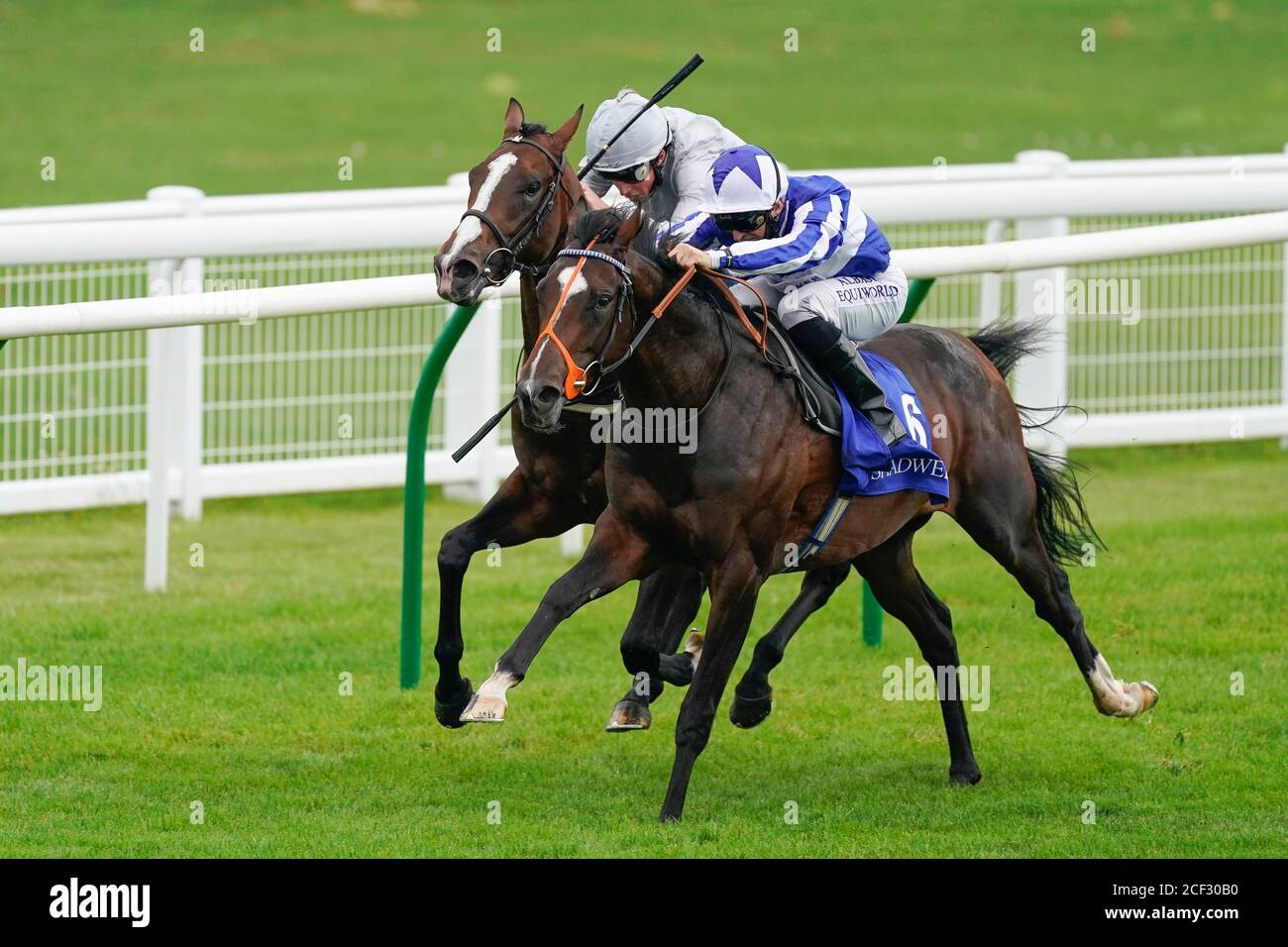 Longlai, monté par le jockey Pat Dobbs (à droite), remporte les piquets ...