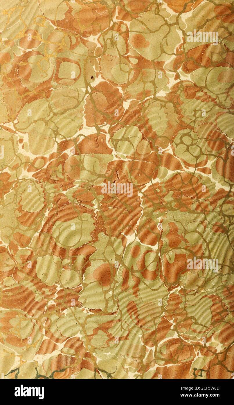 Ching ying chien Banque de photographies et d’images à haute résolution ...