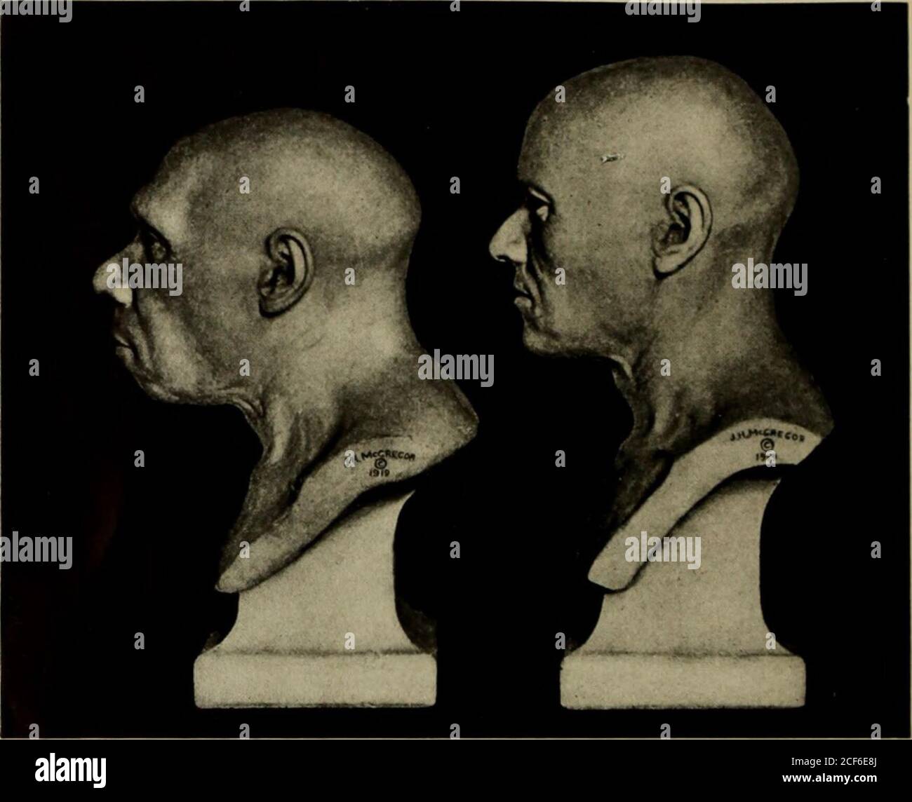 L'homme De Cro Magnon Banque d'image et photos - Alamy