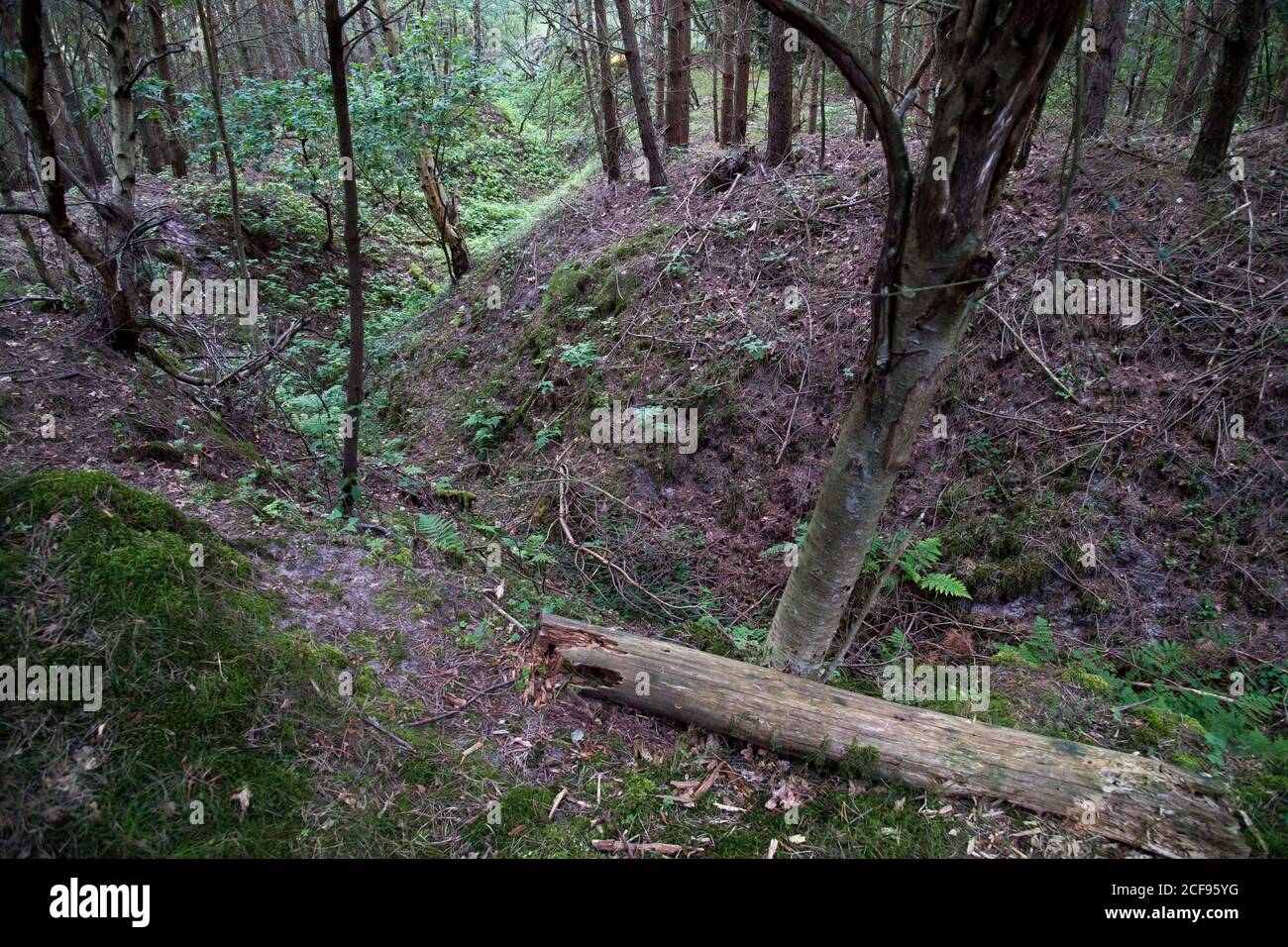 Position De Combat Banque d'image et photos - Alamy