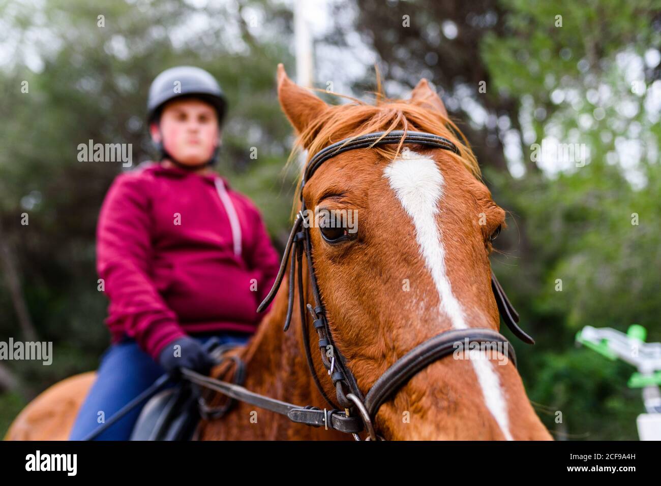 Ado n surpoids Banque de photographies et d’images à haute résolution ...