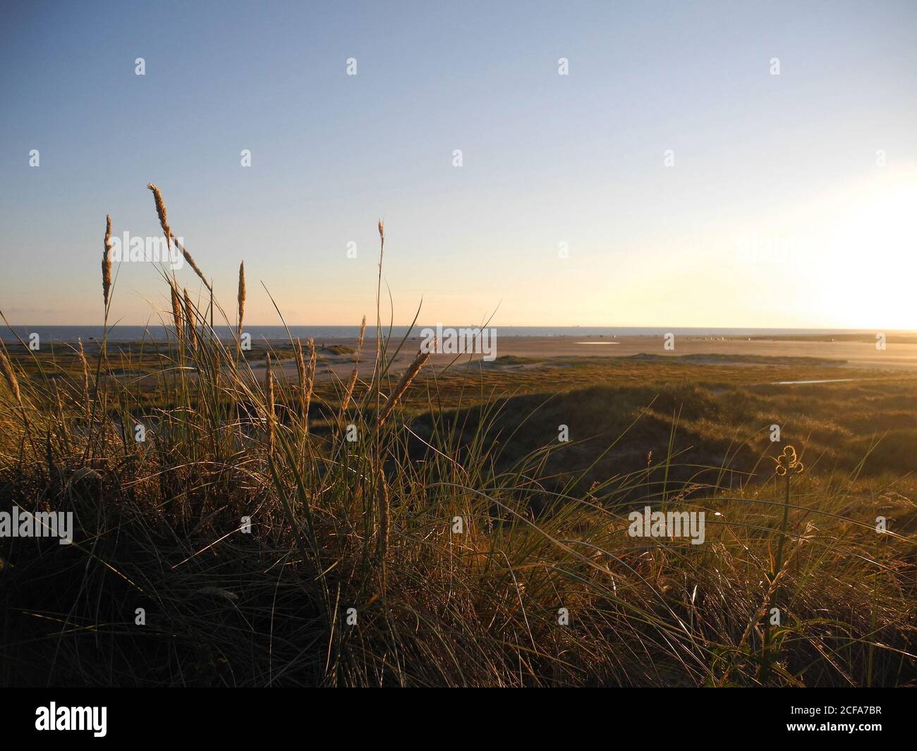 Dunes Avec Herbe De Plage Au Bord De La Mer Banque d'image et photos ...