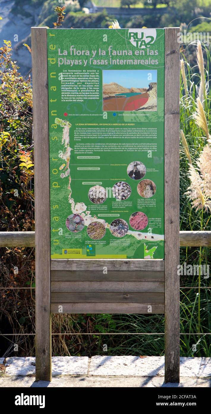 Fauna y flora y fauna Banque de photographies et d’images à haute ...