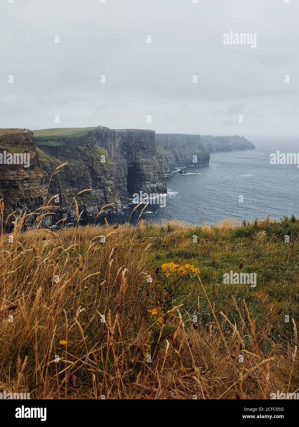 Falaises de moher, irlande Banque de photographies et d’images à haute résolution - Alamy