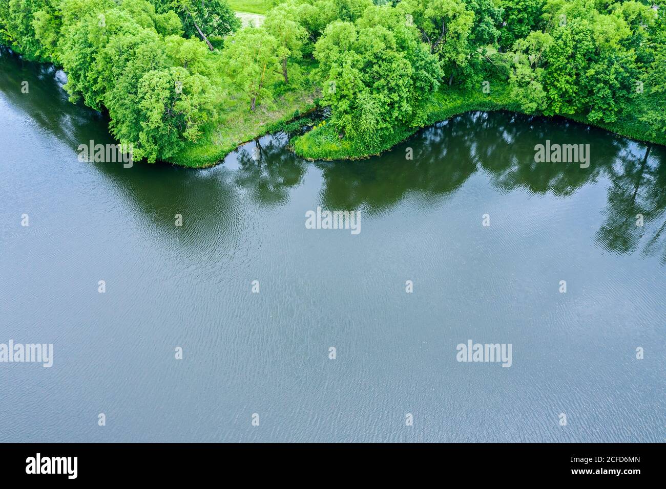 vue aérienne du dessus de la forêt verte d'été sur la rive du lac ...