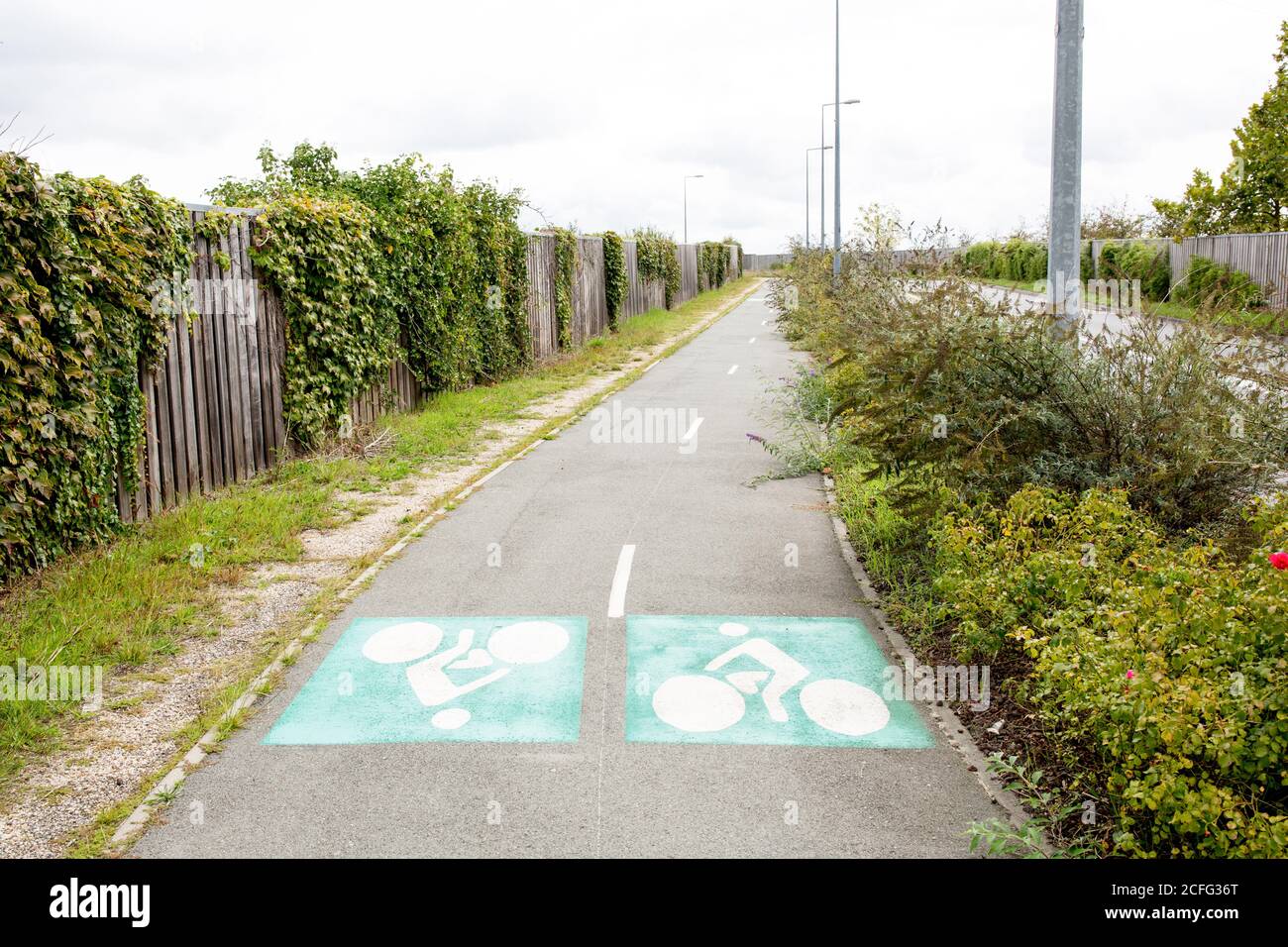 Signalisation de la voie à vélo sur le symbole de rue pour indiquer la ...