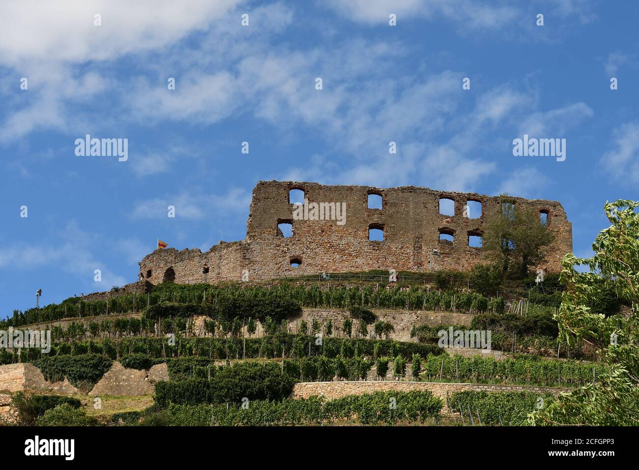 Staufen castle Banque de photographies et d’images à haute résolution ...