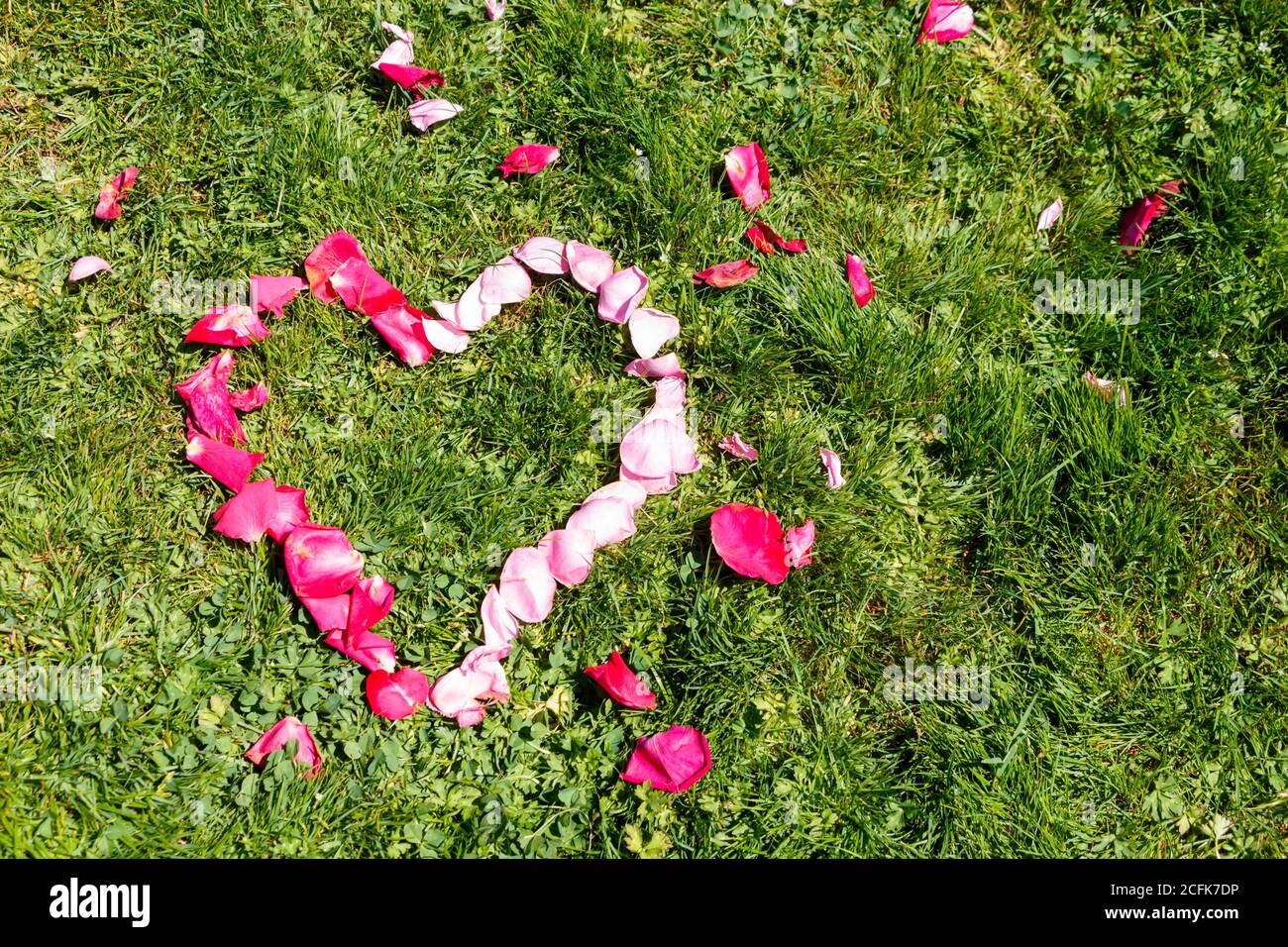 Pétales de rose en forme de coeur sur l'herbe Photo Stock - Alamy