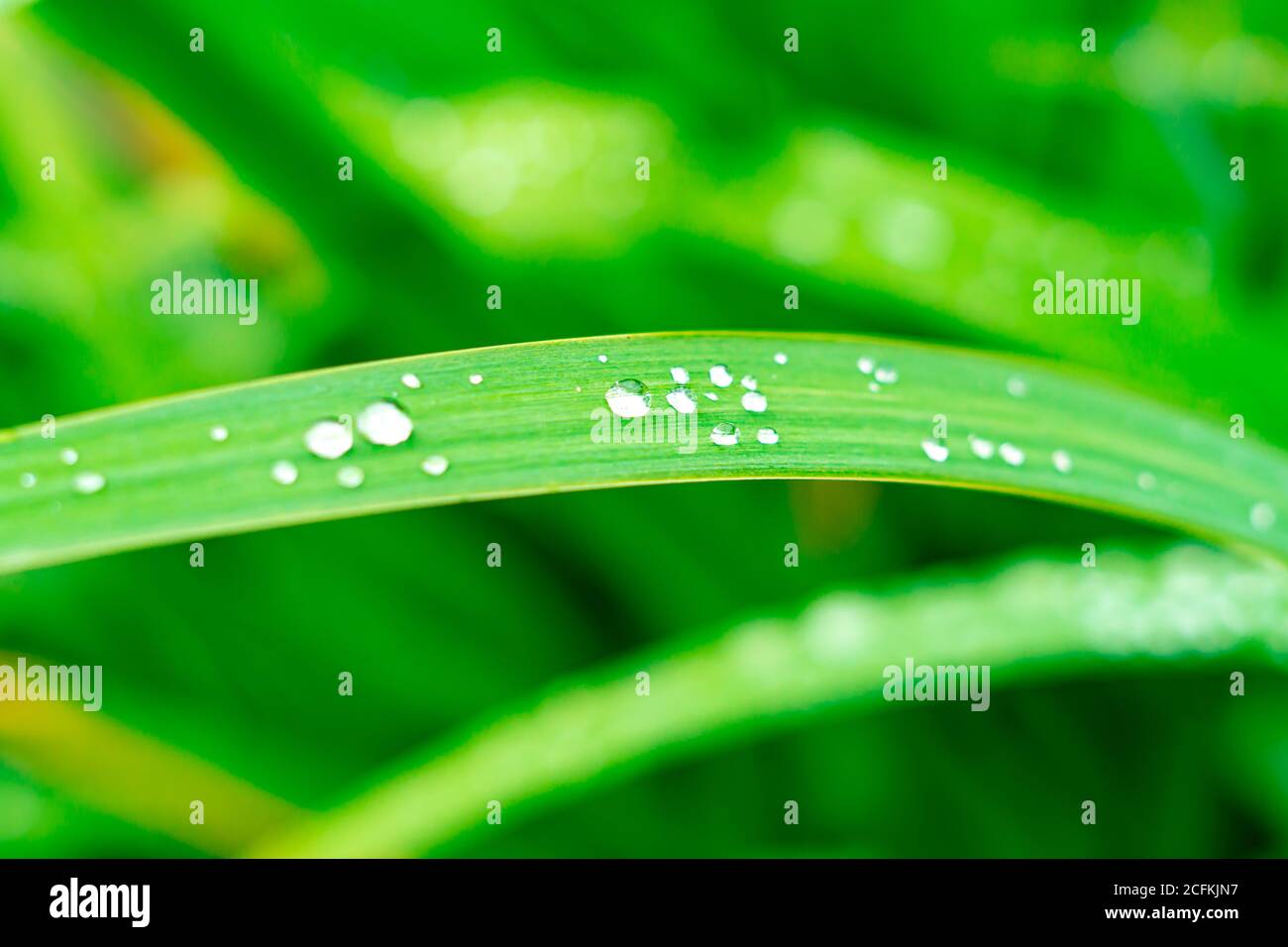 Water waterdrops Banque de photographies et d’images à haute résolution ...