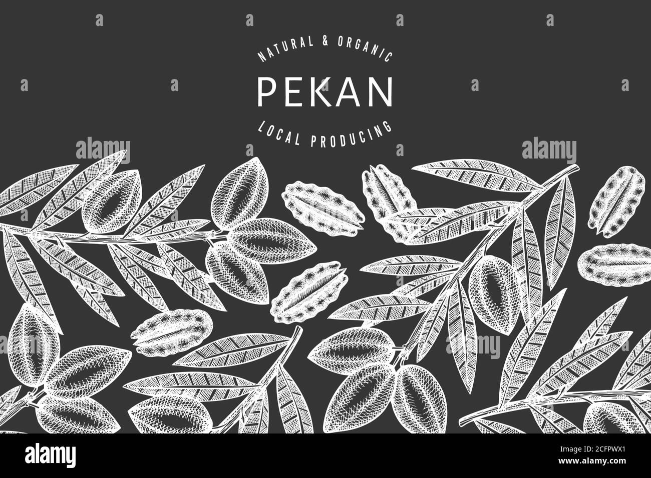 Modèle de conception de branche de pacane et de noyaux dessiné à la ...