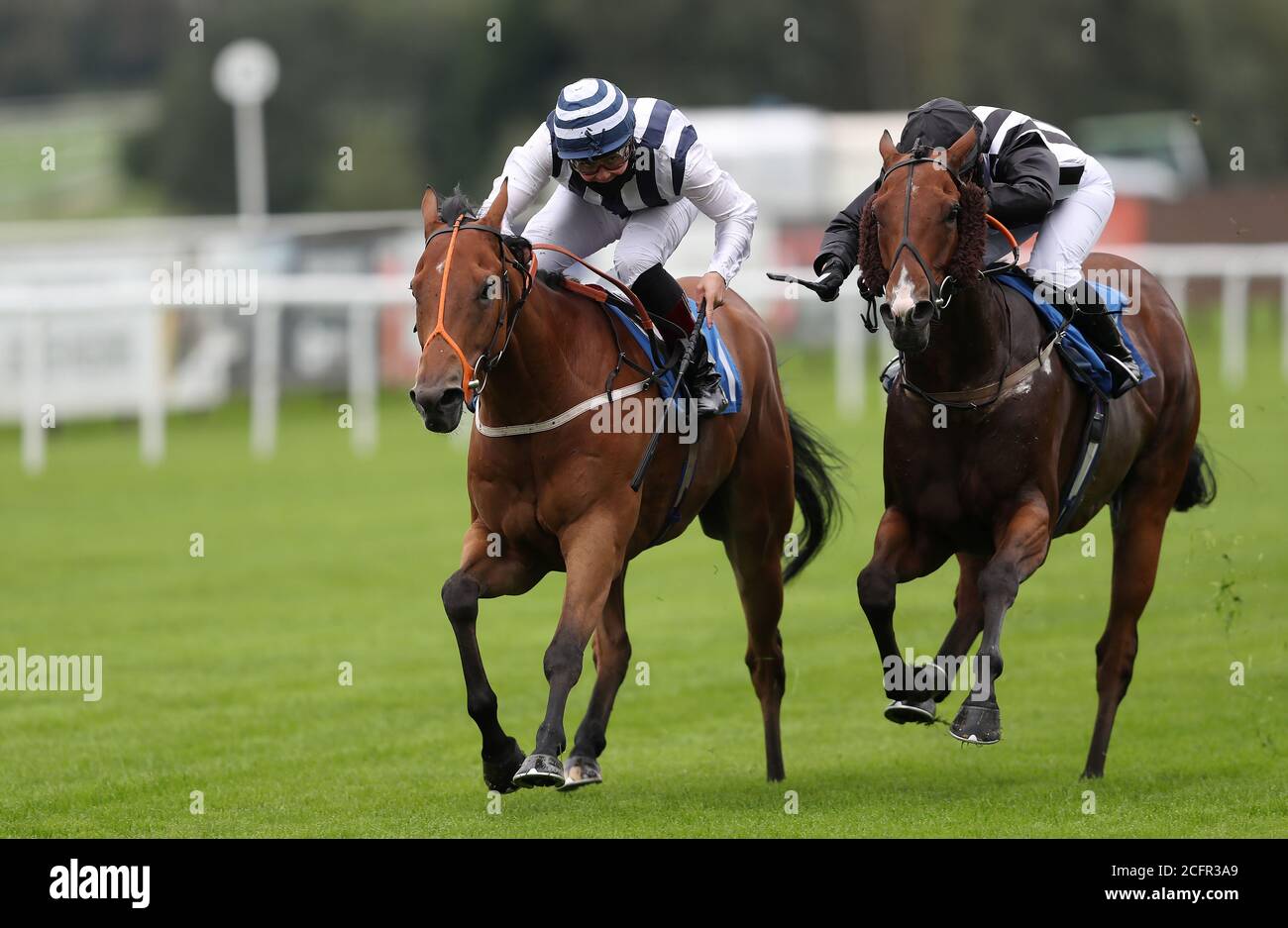 Gagner bodie hodges fondation apprenti handicap hippodrome de leicester ...