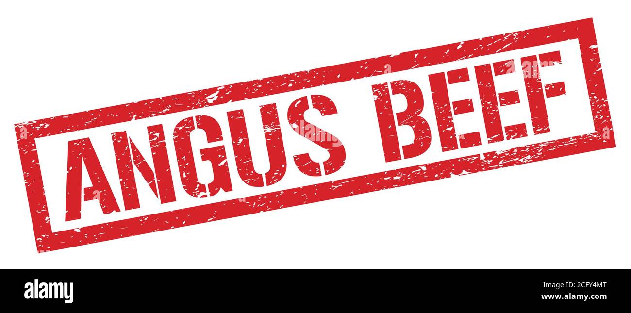 Mot de boeuf angus Banque de photographies et d’images à haute ...