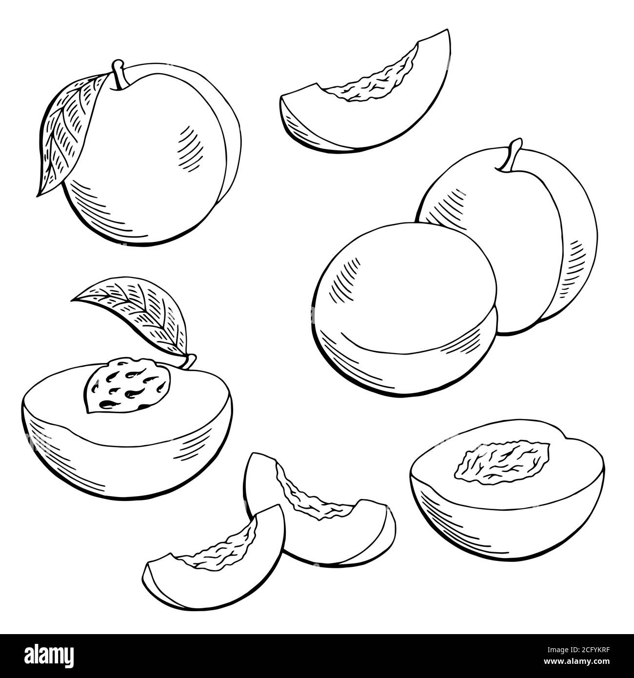 Peach illustration Banque d'images noir et blanc - Alamy