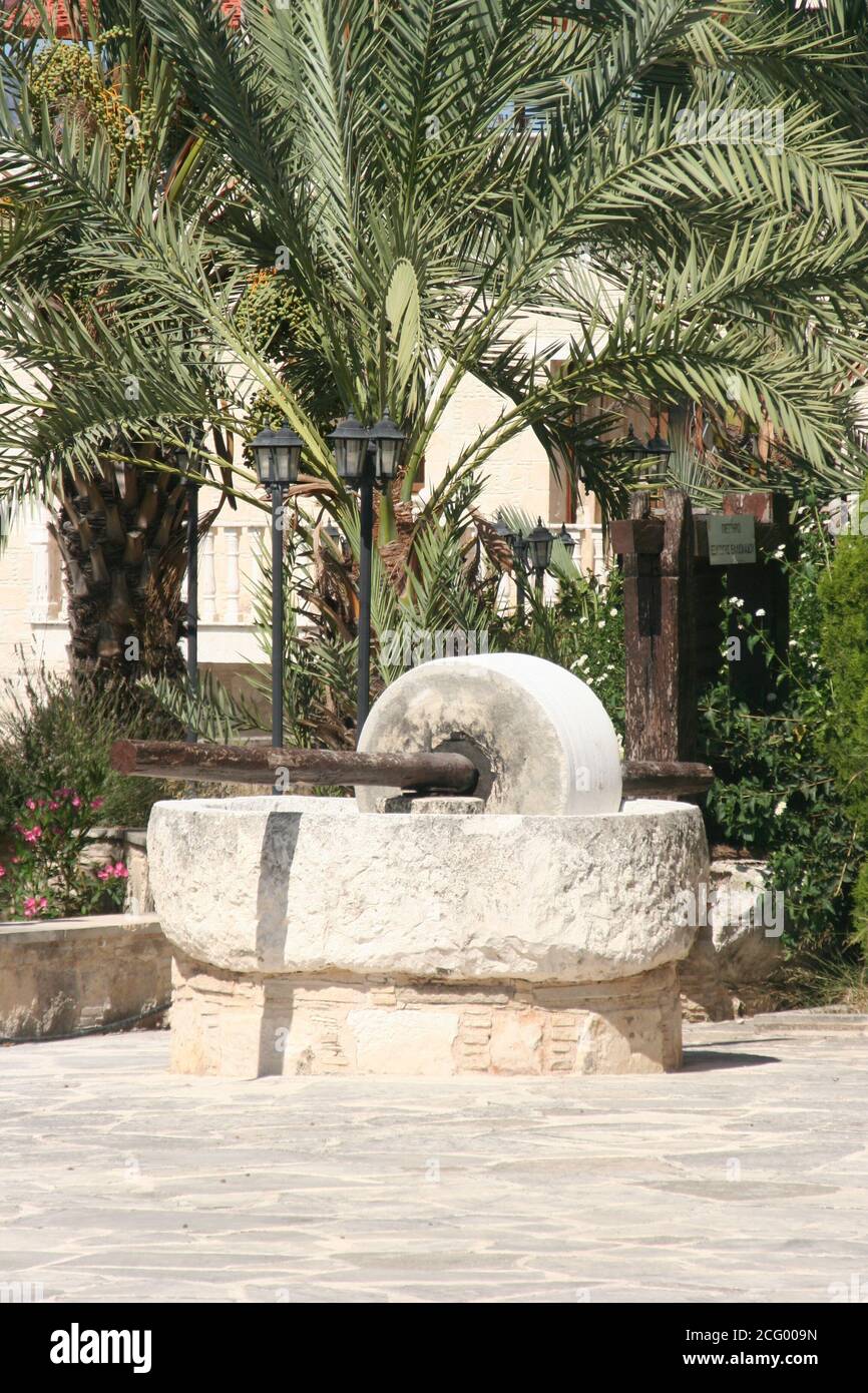 Huile d'olive de chypre Banque de photographies et d’images à haute ...