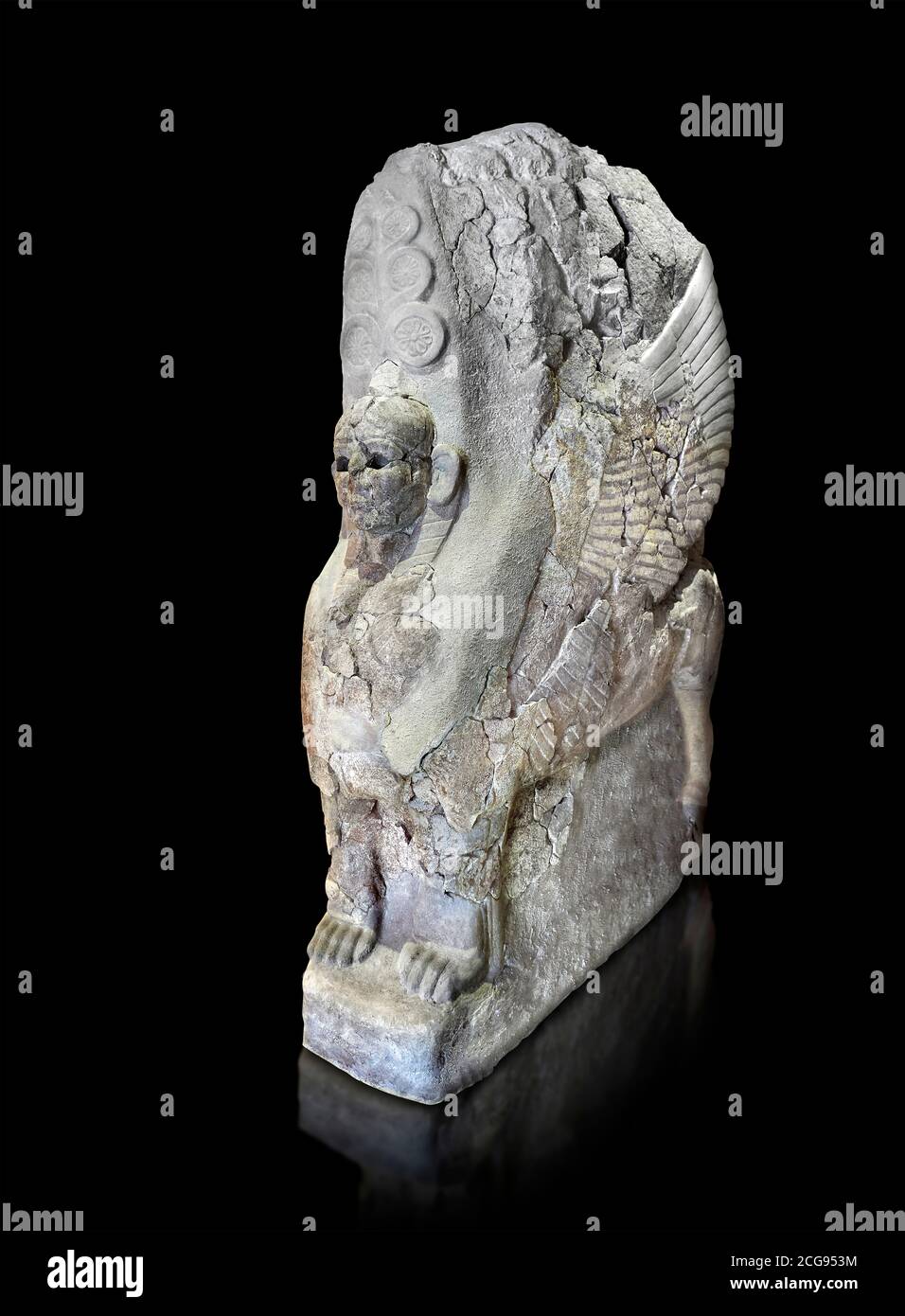 Sphinx hattusa Banque de photographies et d’images à haute résolution ...