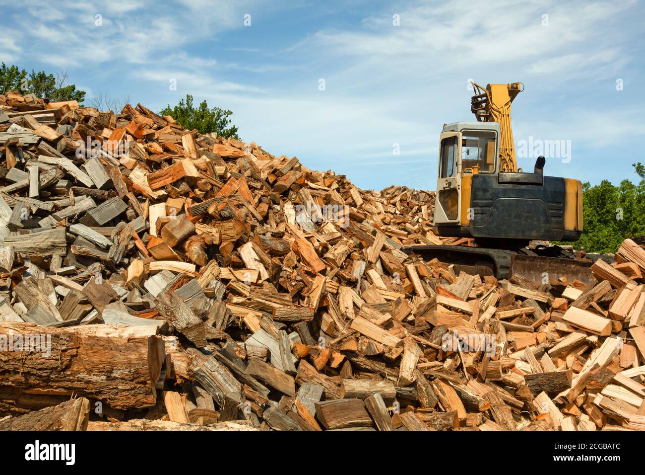 Bulldozer deforestation forest Banque de photographies et d’images à ...