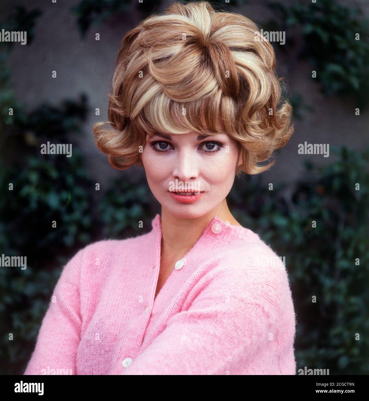 Scilla gabel Banque de photographies et d’images à haute résolution - Alamy