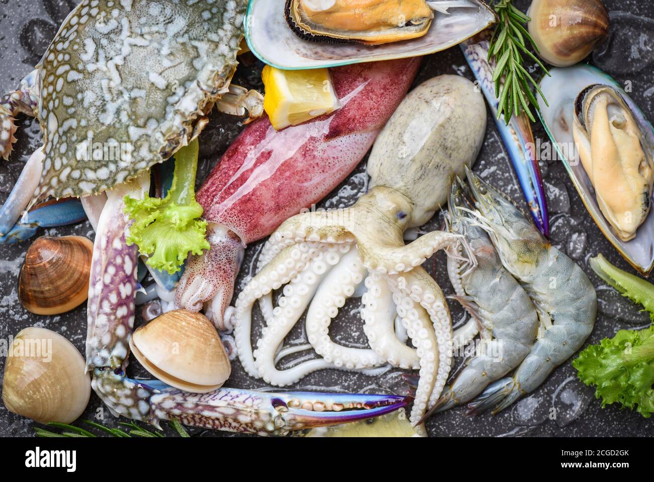 Buffet de fruits de mer frais crus avec des ingrédients de romarin de ...