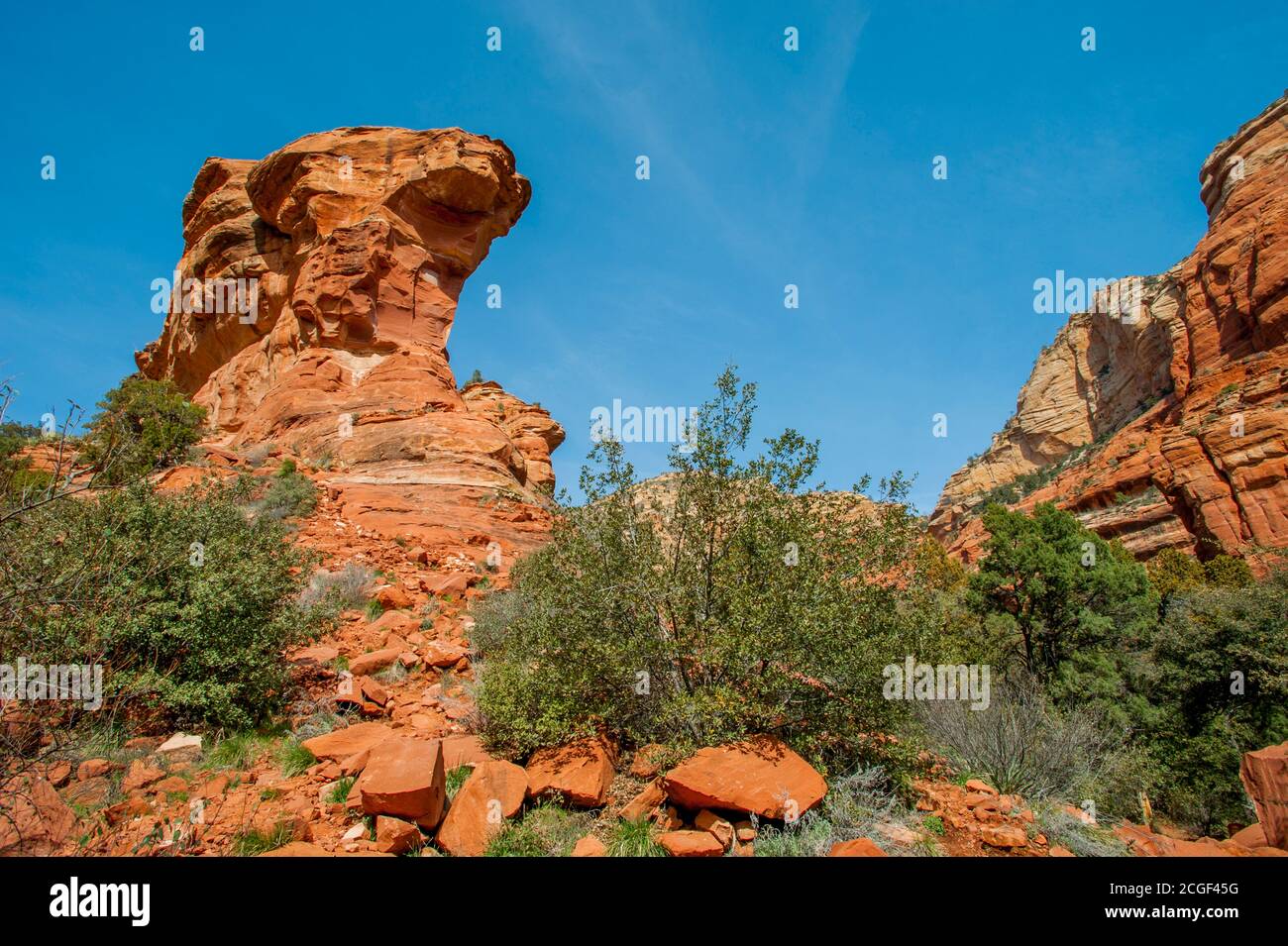 Formations de roches rouges montrant une érosion dans le Fay Canyon ...
