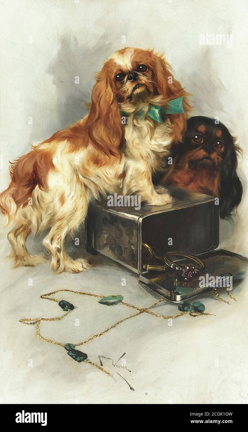 School cavalier king charles Banque de photographies et d’images à ...