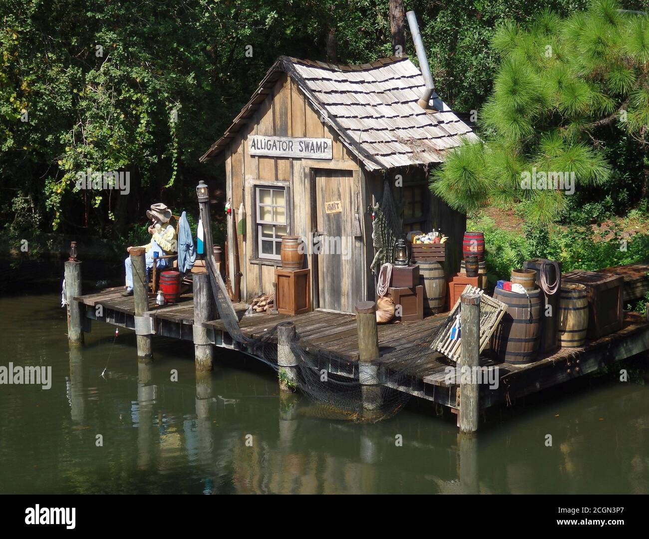 Alligator swamp walt disney world Banque de photographies et d’images à ...