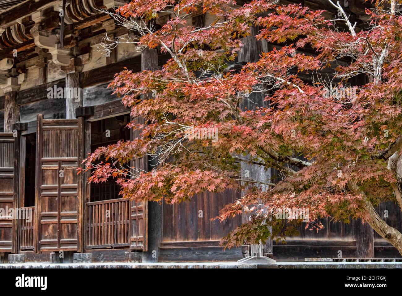 Bâtiment Daikodo, temple de Shoshazan Engyoji de la secte Tendai ...