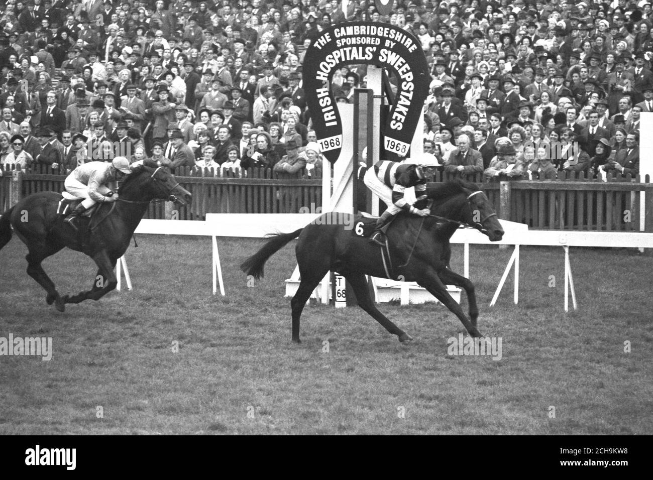 Sir Ivor, le colt irlandais de Raymond Guest, monté par Lester Piggott ...