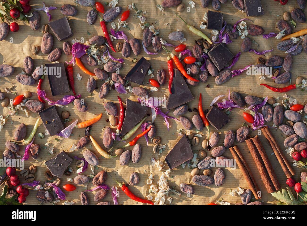 Cacaoyer fruit et fleur Banque de photographies et d’images à haute ...