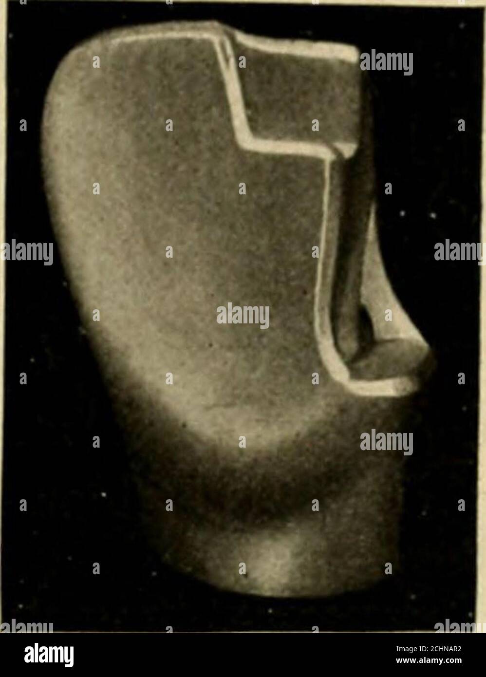 . Techniques d'anatomie opératoire et dentaire; manuel de classe et de ...