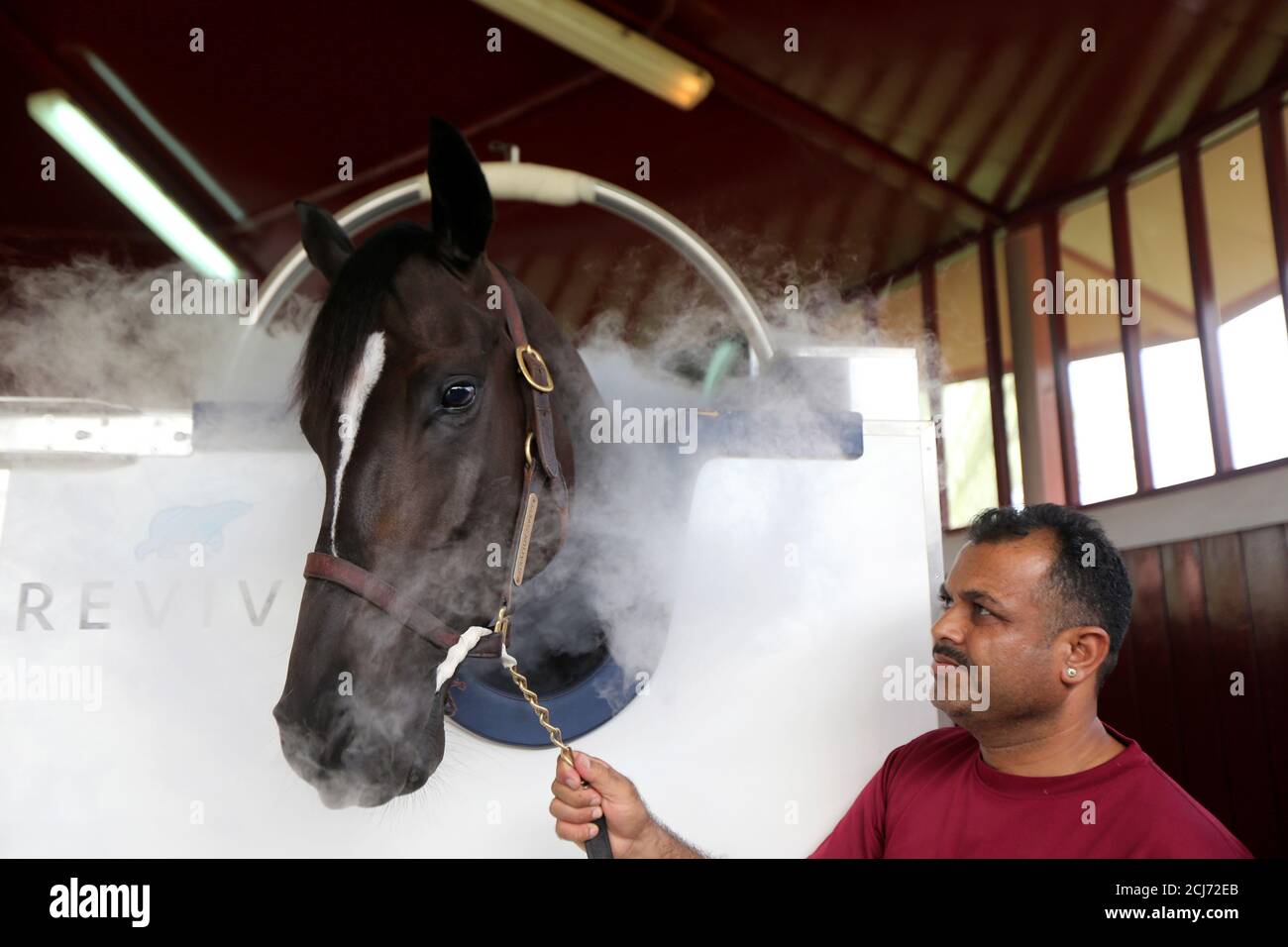 Écuries de course zabeel Banque d'image et photos - Alamy