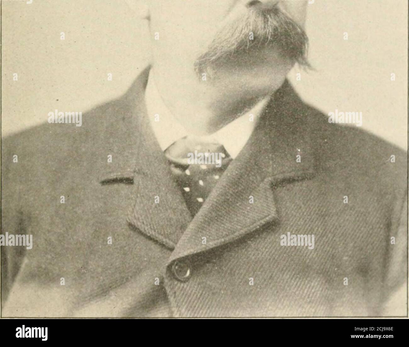 Virginie linu Banque de photographies et d’images à haute résolution ...