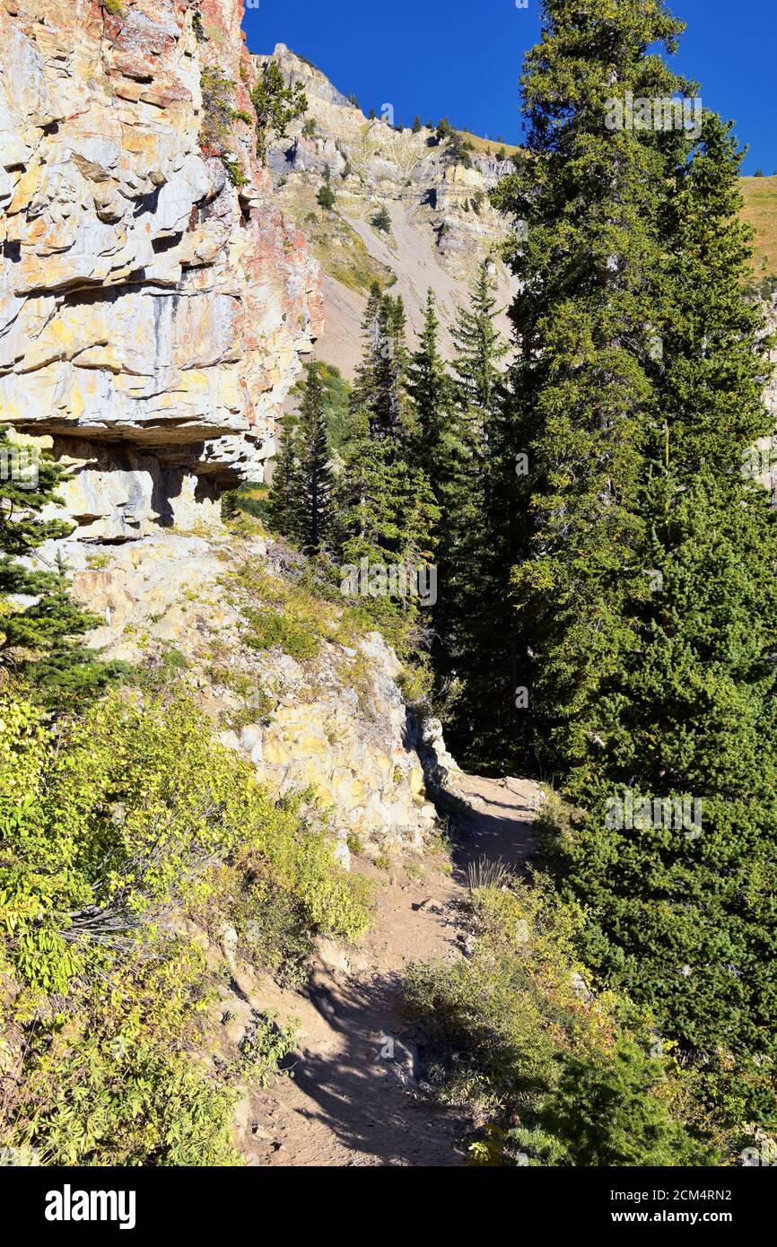Le sentier de randonnée Timpanogos offre une vue sur les arbres de la ...