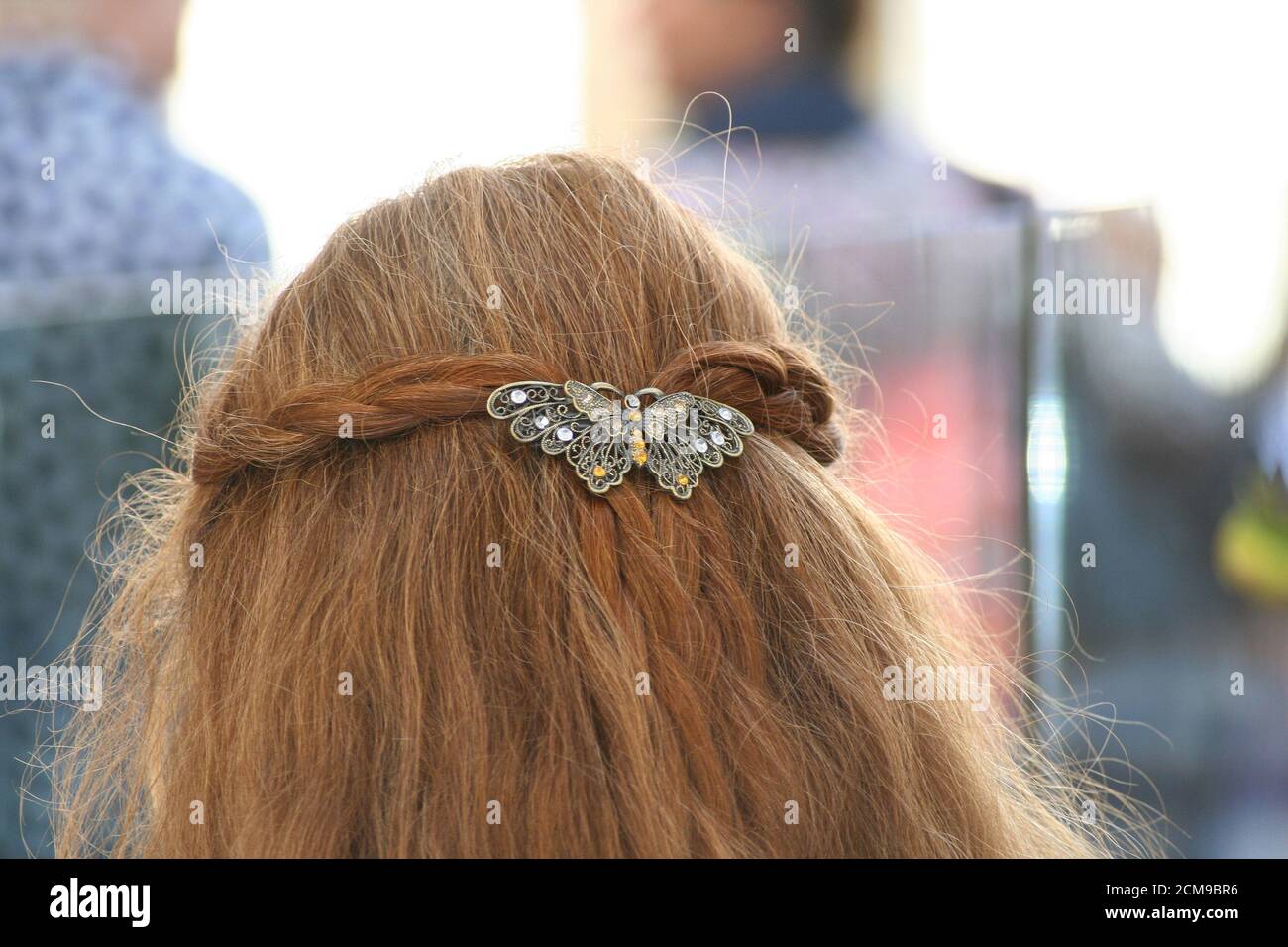 Tresse papillon Banque de photographies et d’images à haute résolution ...