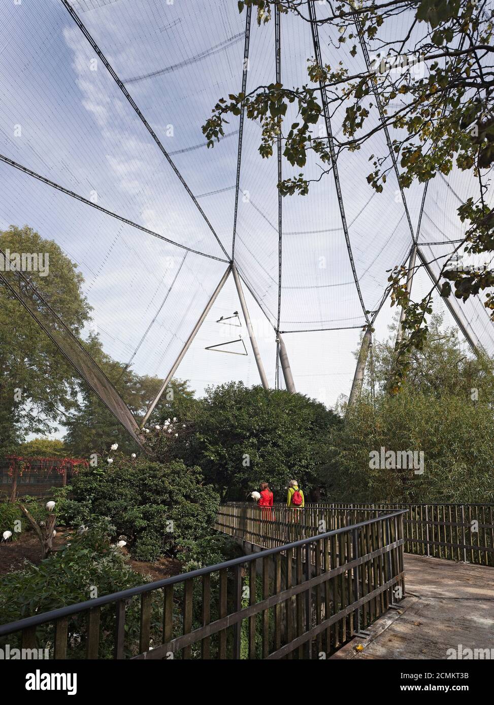 Snowdon aviary london zoo Banque de photographies et d’images à haute ...