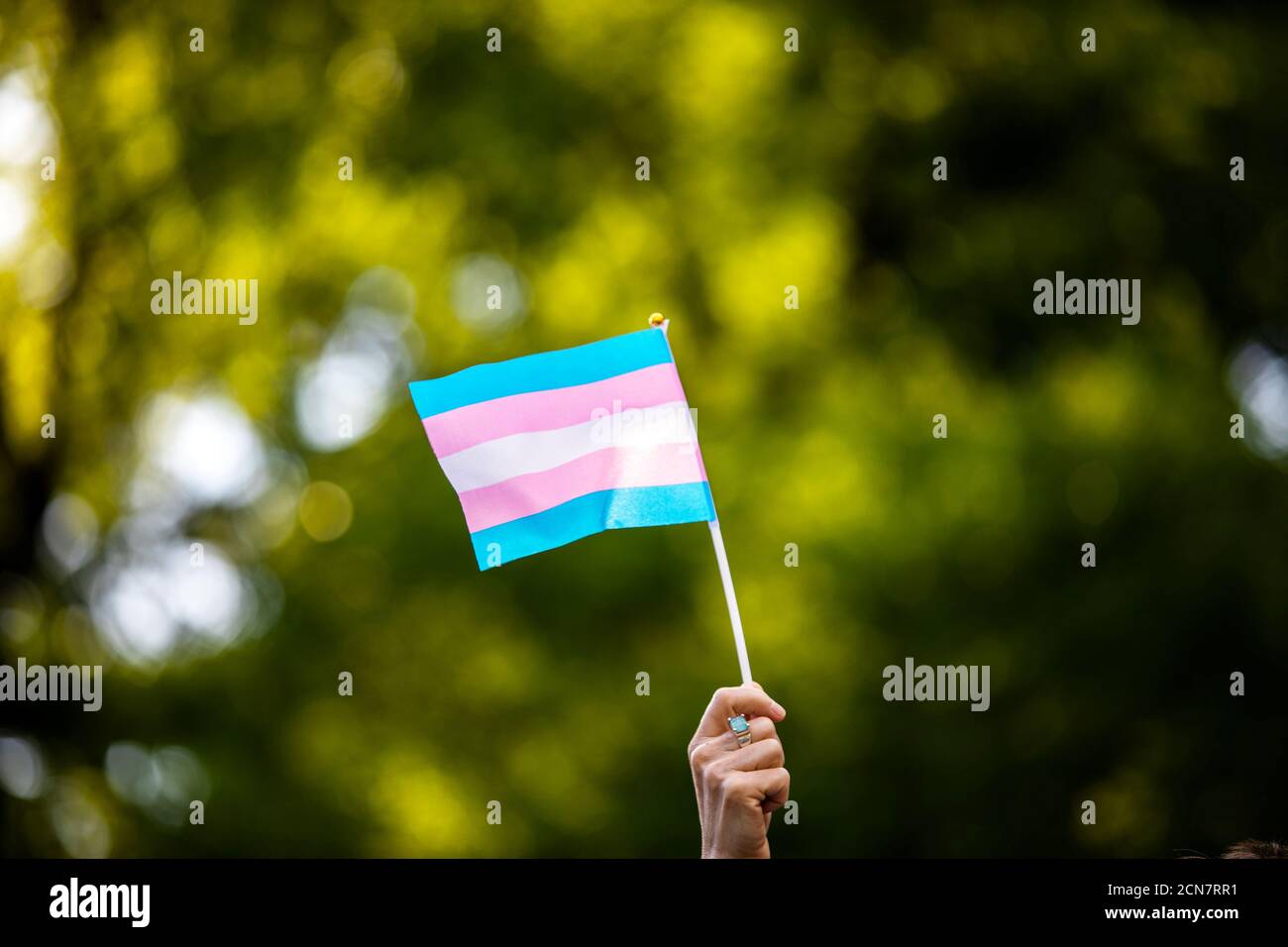 Drapeau transgenre Banque de photographies et d’images à haute ...