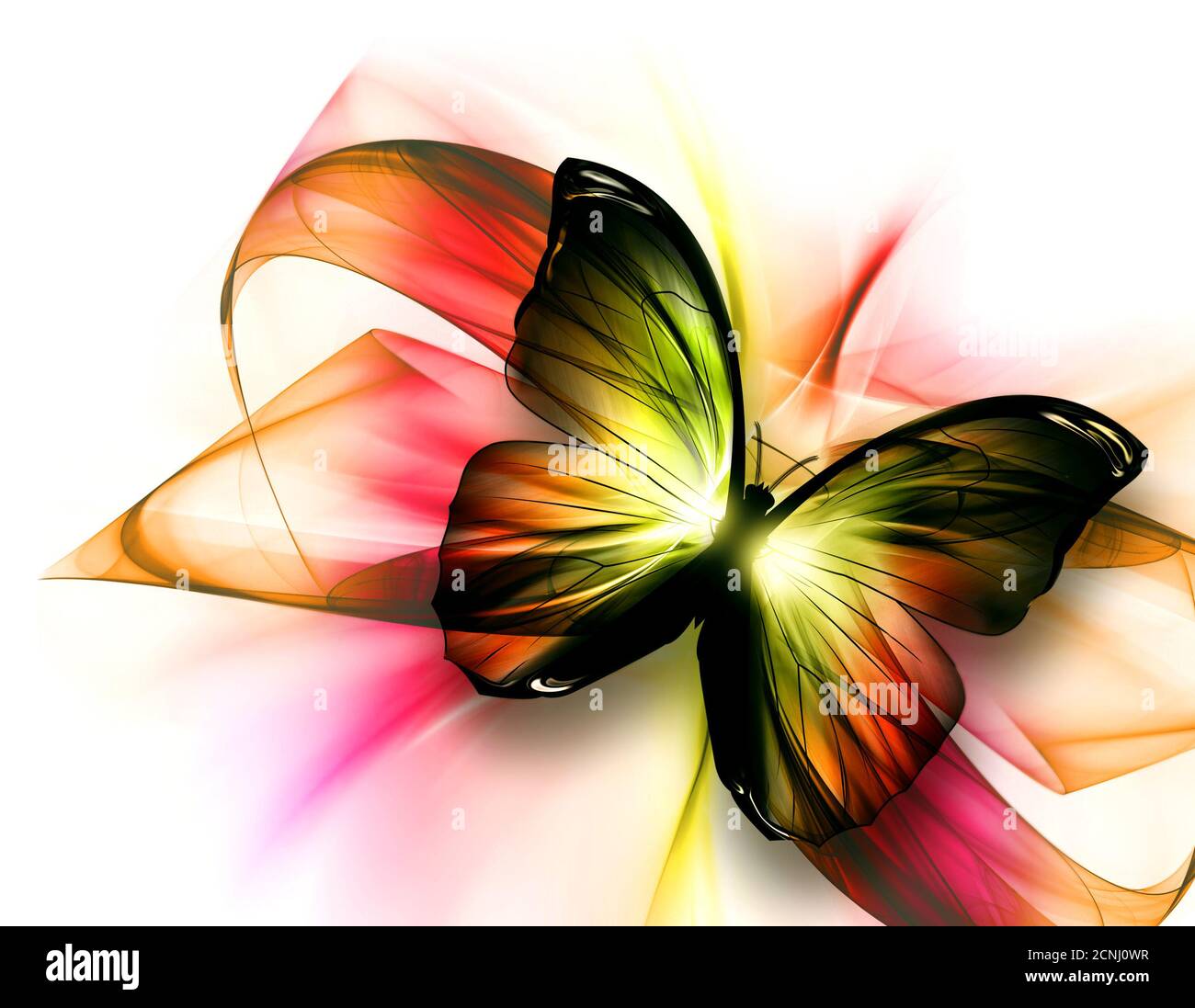 Beau papillon Banque de photographies et d’images à haute résolution ...