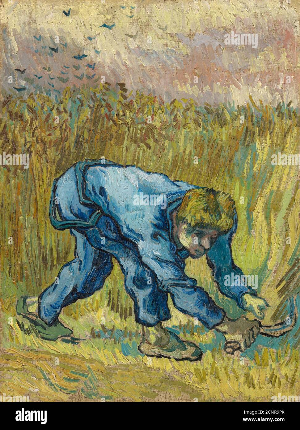 Le moissonneur van gogh Banque de photographies et d’images à haute ...